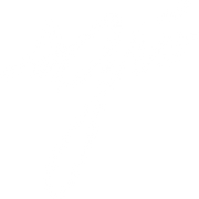 Sgio Corsica - La Marque de Vêtements Corse par Excellence